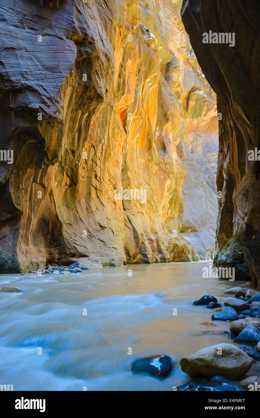 Virgin River Narrows, Zion National Park, Utah, USA Stock Photo - Alamy