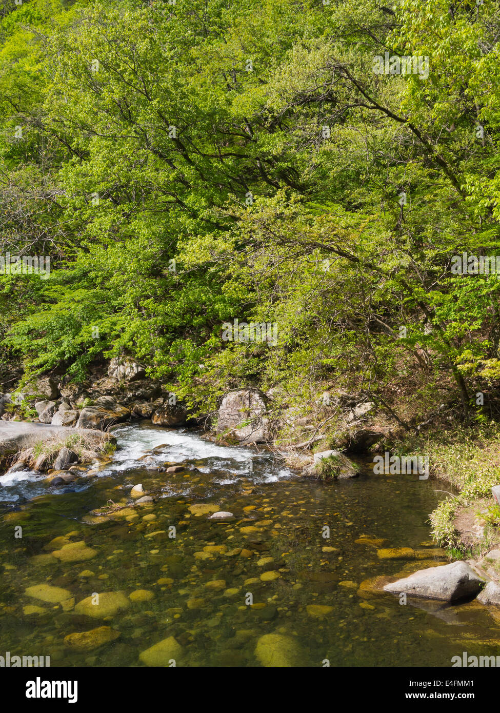 Mitake gorge hi-res stock photography and images - Alamy