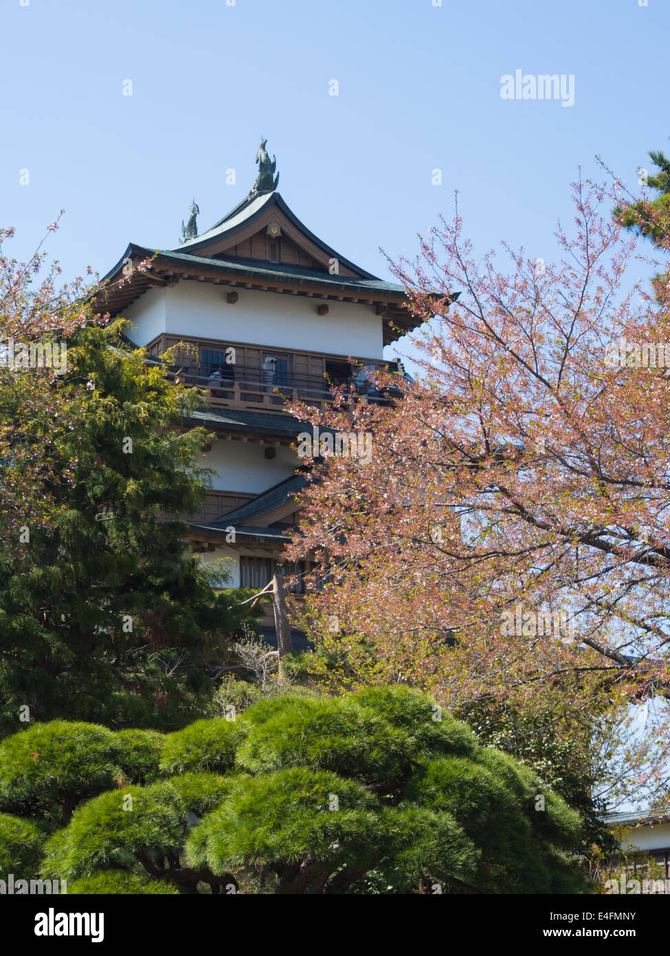 Takashima Castle in Suwa, Nagano, Japan Stock Photo - Alamy