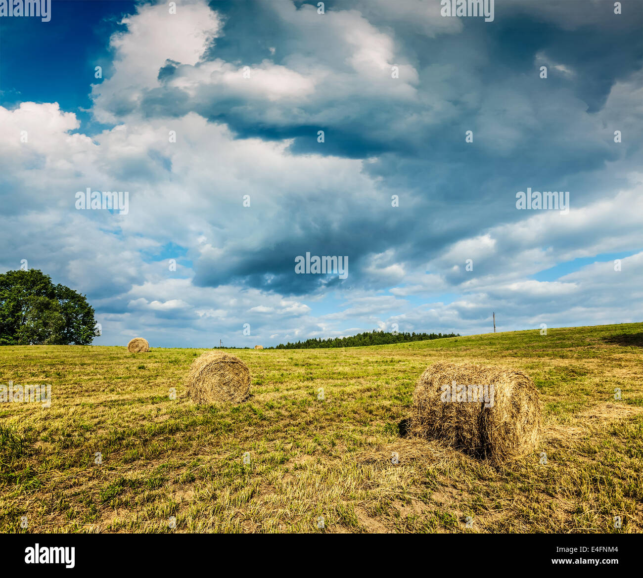 Agriculture background hi-res stock photography and images - Alamy