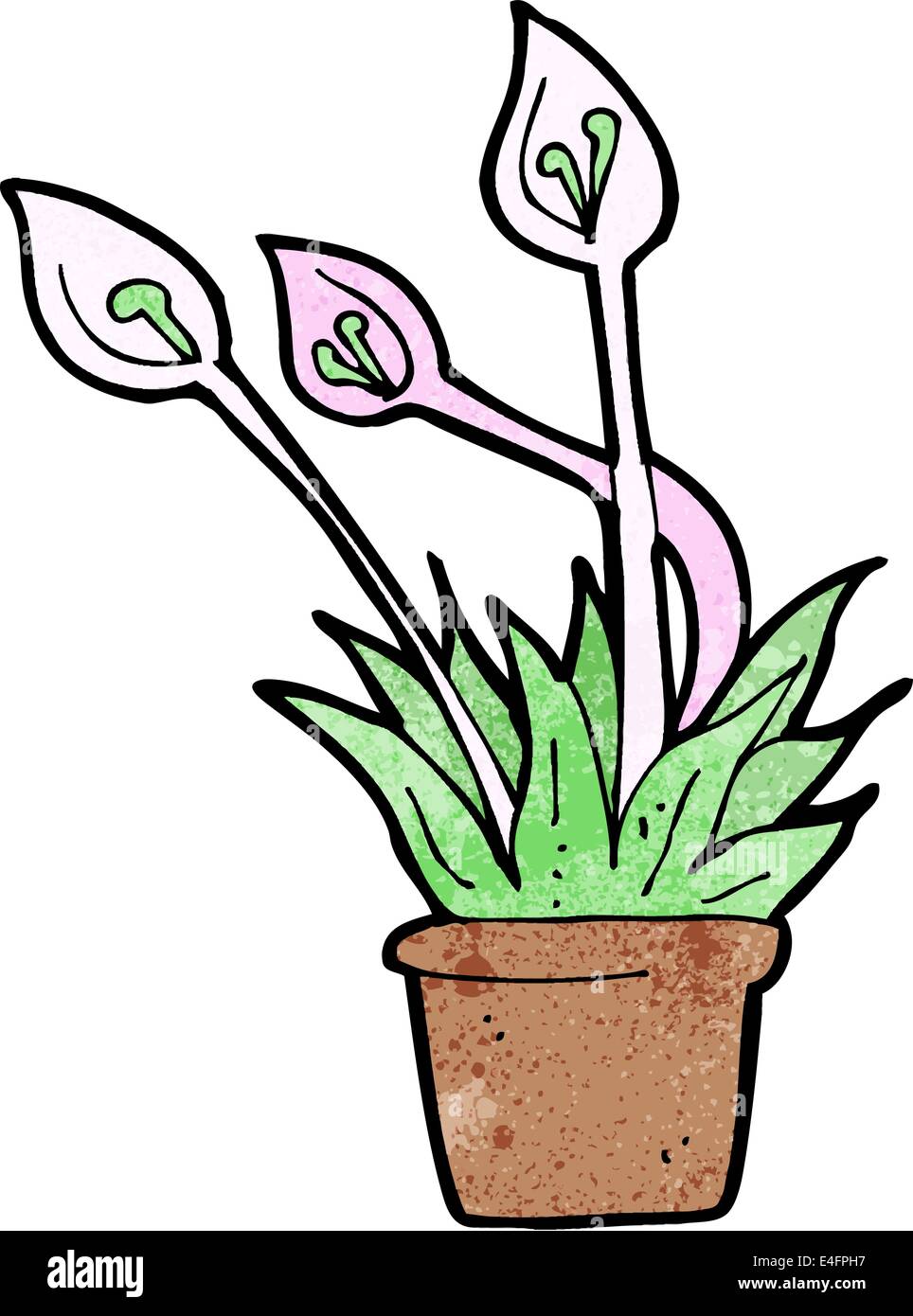 cartoon orchid plant Stock Vector Image & Art - Alamy