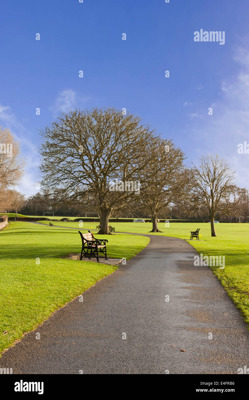 Beautiful garden bench hi-res stock photography and images - Alamy