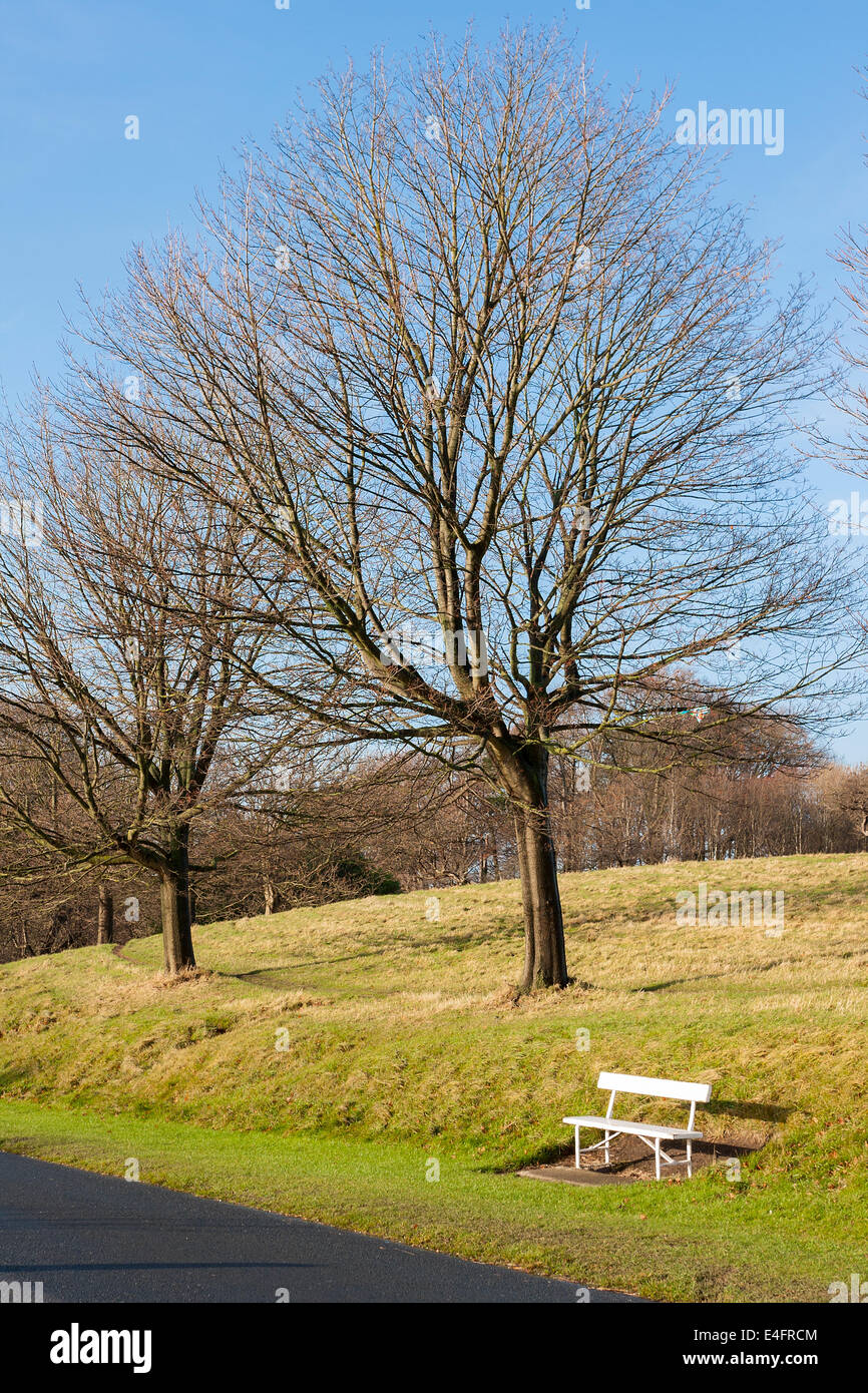 Sunny day Garden footpath with bench Stock Photo - Alamy