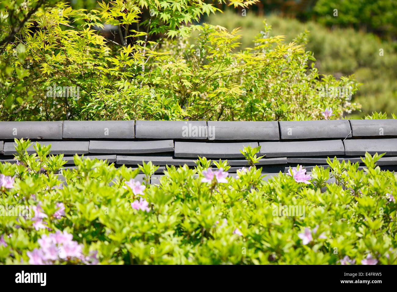 Korean traditional roof tiled wall in a bush Stock Photo - Alamy
