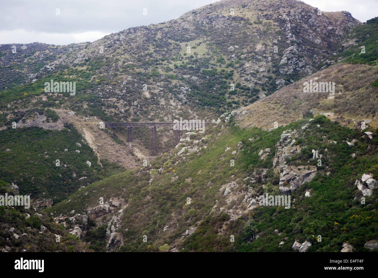 Distant bridge of the Taieri Gorge Railway Stock Photo - Alamy