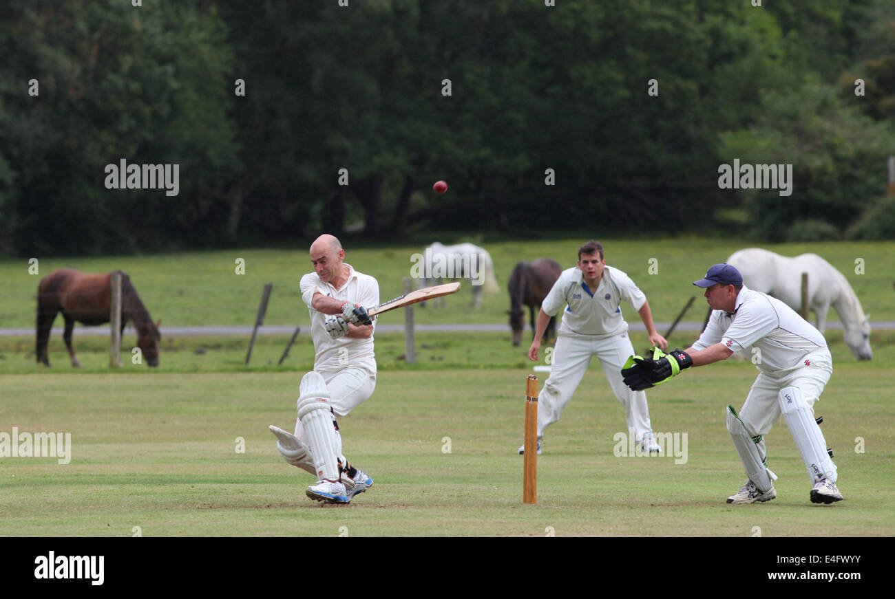 New forest cricket match hi-res stock photography and images - Alamy
