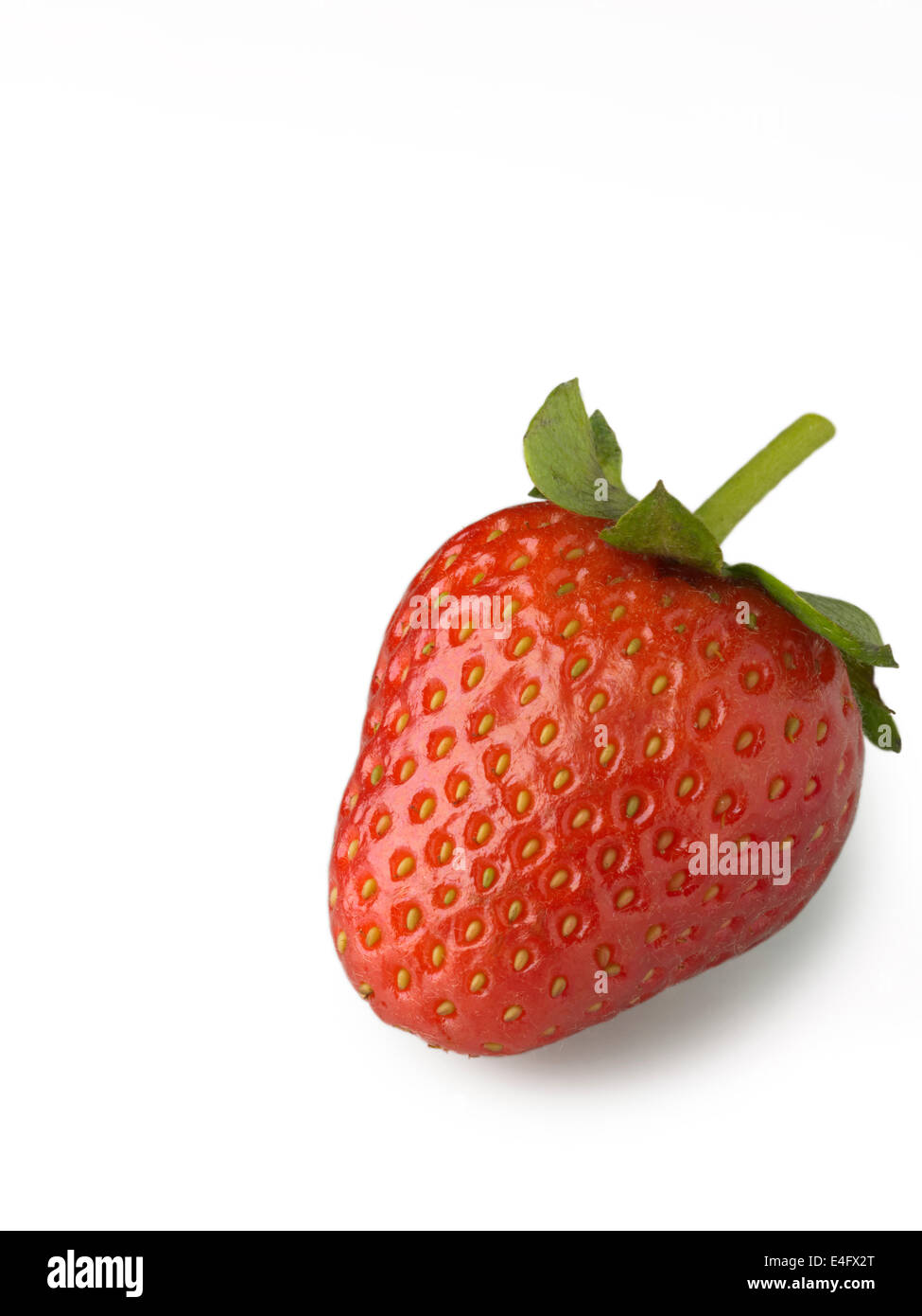 Single strawberry hi-res stock photography and images - Alamy