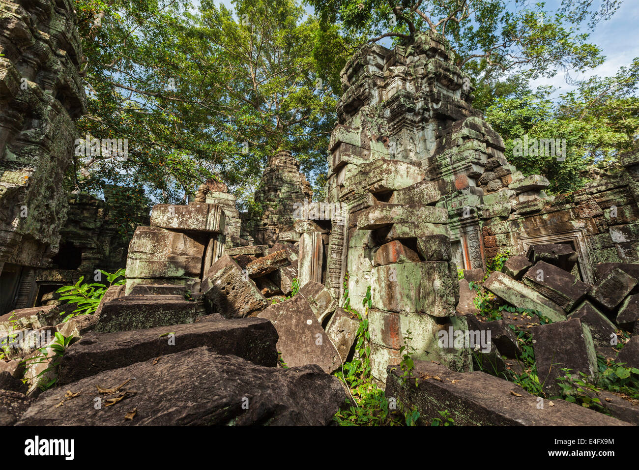 Ta prohm hi-res stock photography and images - Alamy