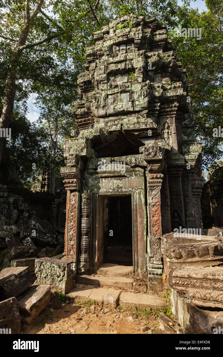 Travel Cambodia concept background - ancient ruins, Ta Prohm temple ...