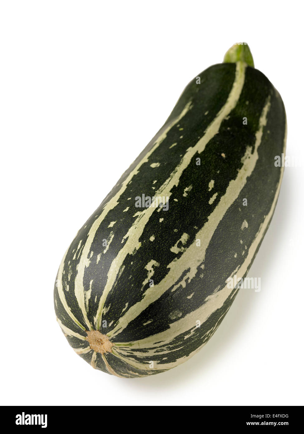 Vegetable marrow white squash hi-res stock photography and images - Alamy