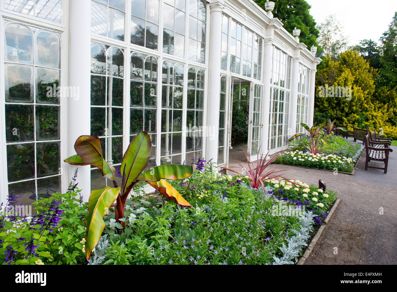 The Camellia House and Formal Gardens at Wollaton Hall in Nottingham ...