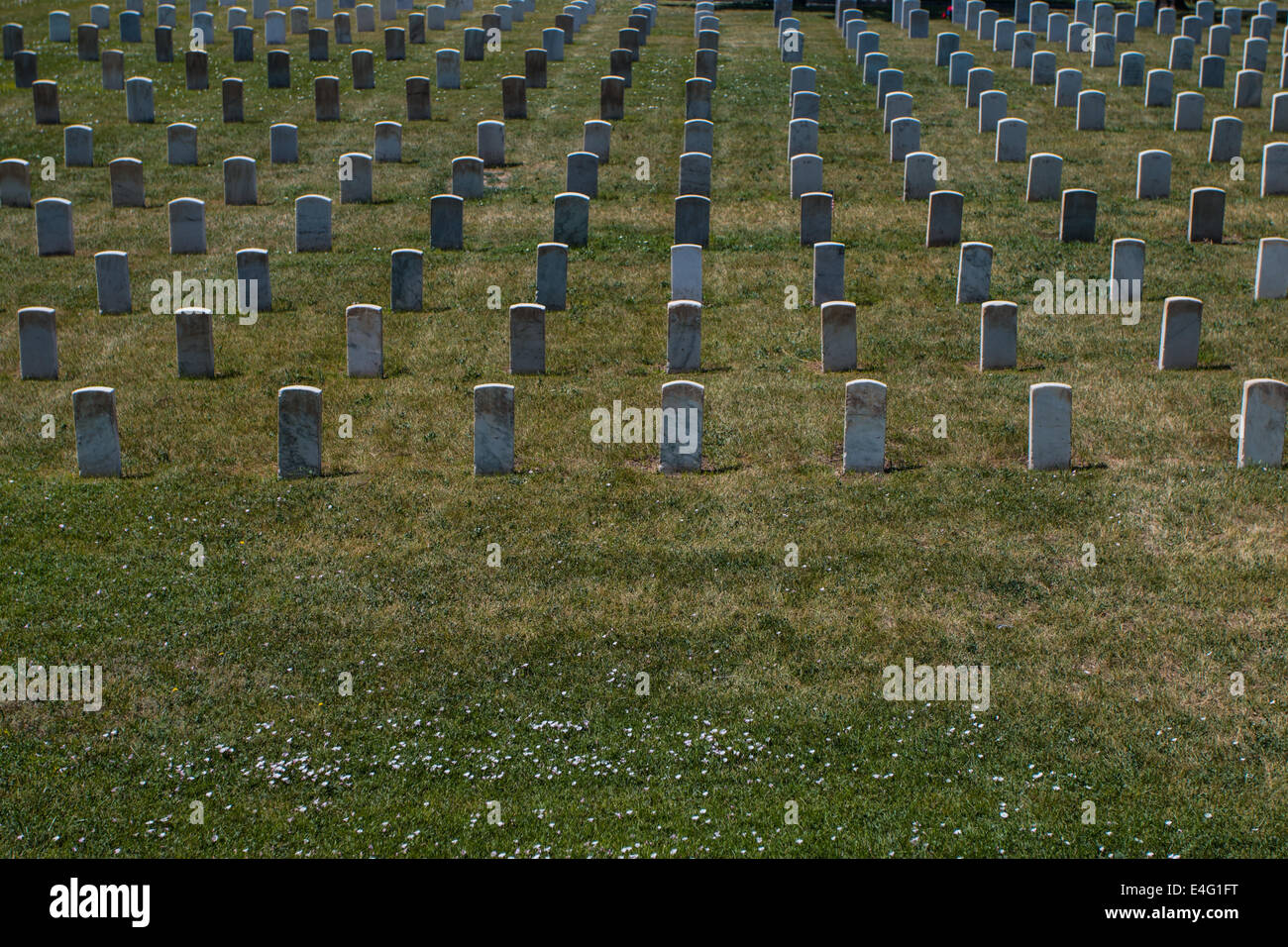 Buried in grass hi-res stock photography and images - Alamy