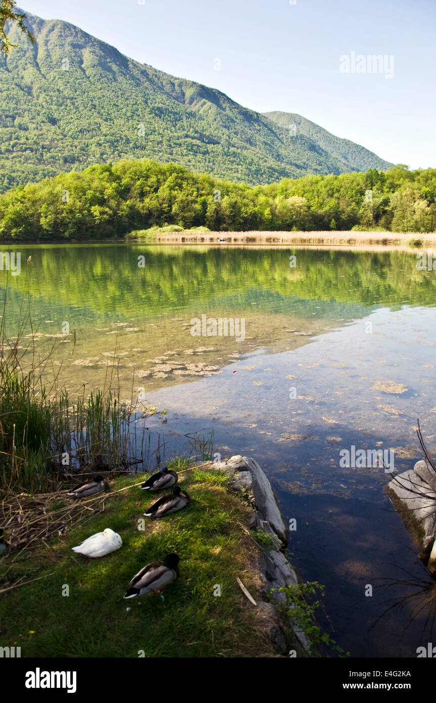 Piano lake italy hi-res stock photography and images - Alamy