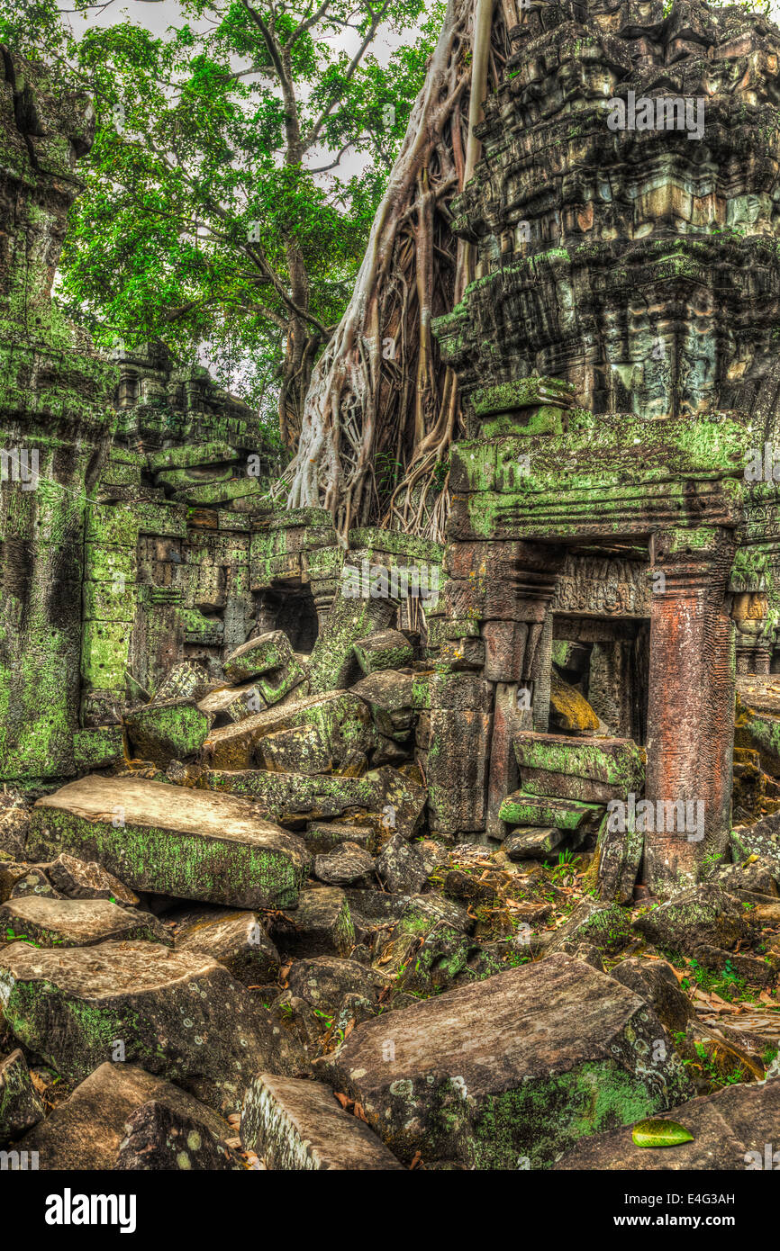 High dynamic range (hdr) image of ancient ruins with trees, Ta Prohm ...
