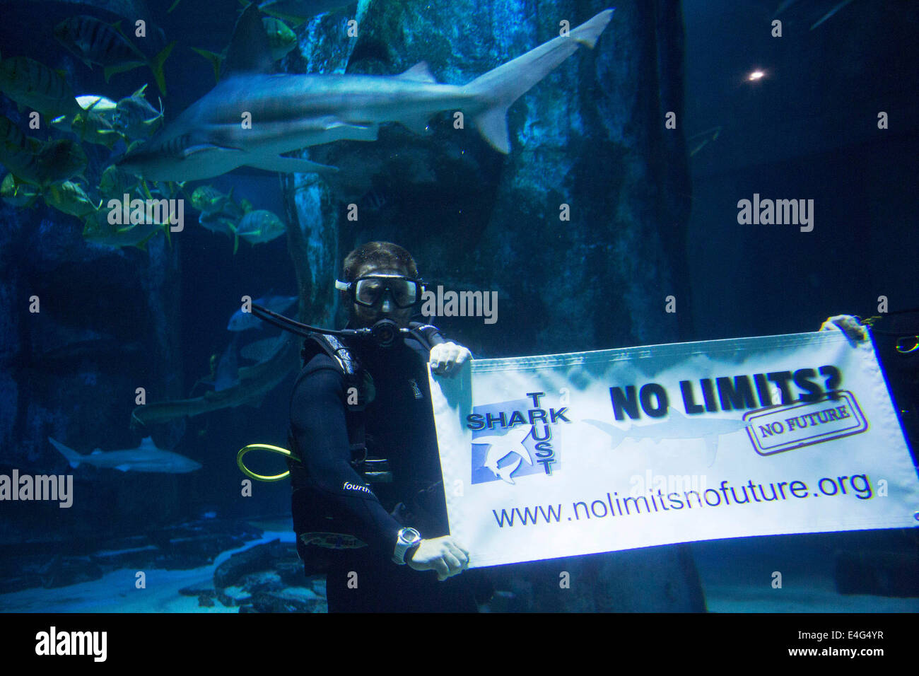 London, UK. 10th July, 2014. As an ambassador for the Shark Trust’s No ...
