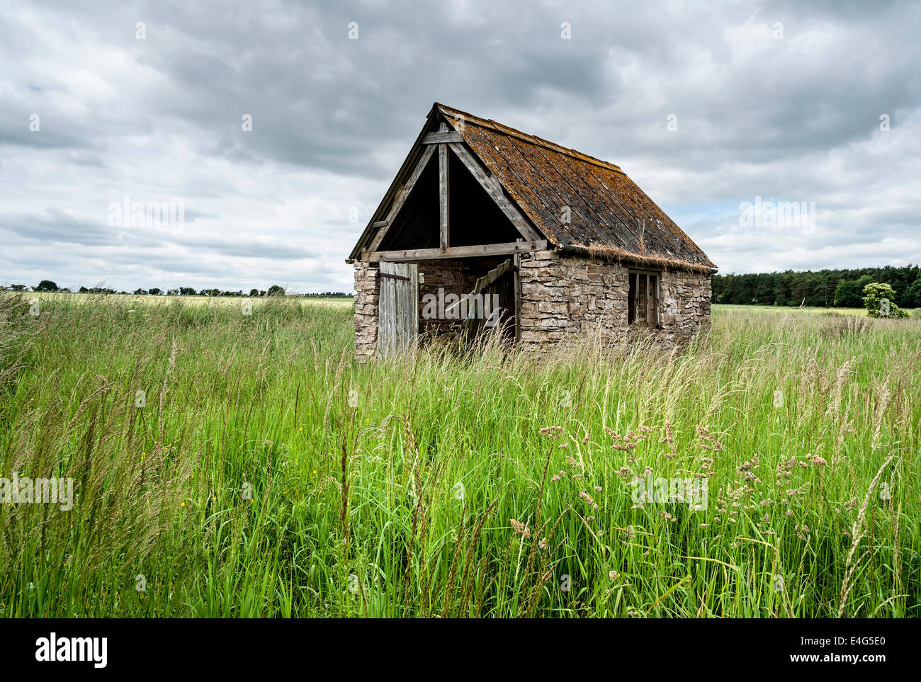 A derelict farm building in a field at Scawton, near Sutton Bank Stock ...