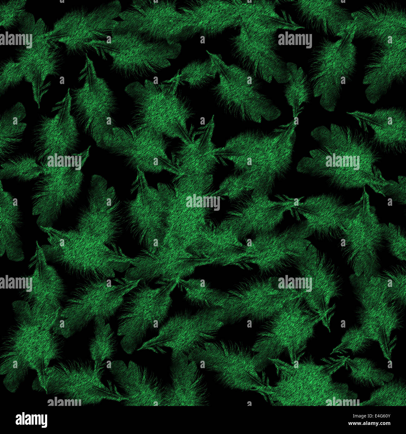 abstract magic green feather on black background Stock Photo - Alamy