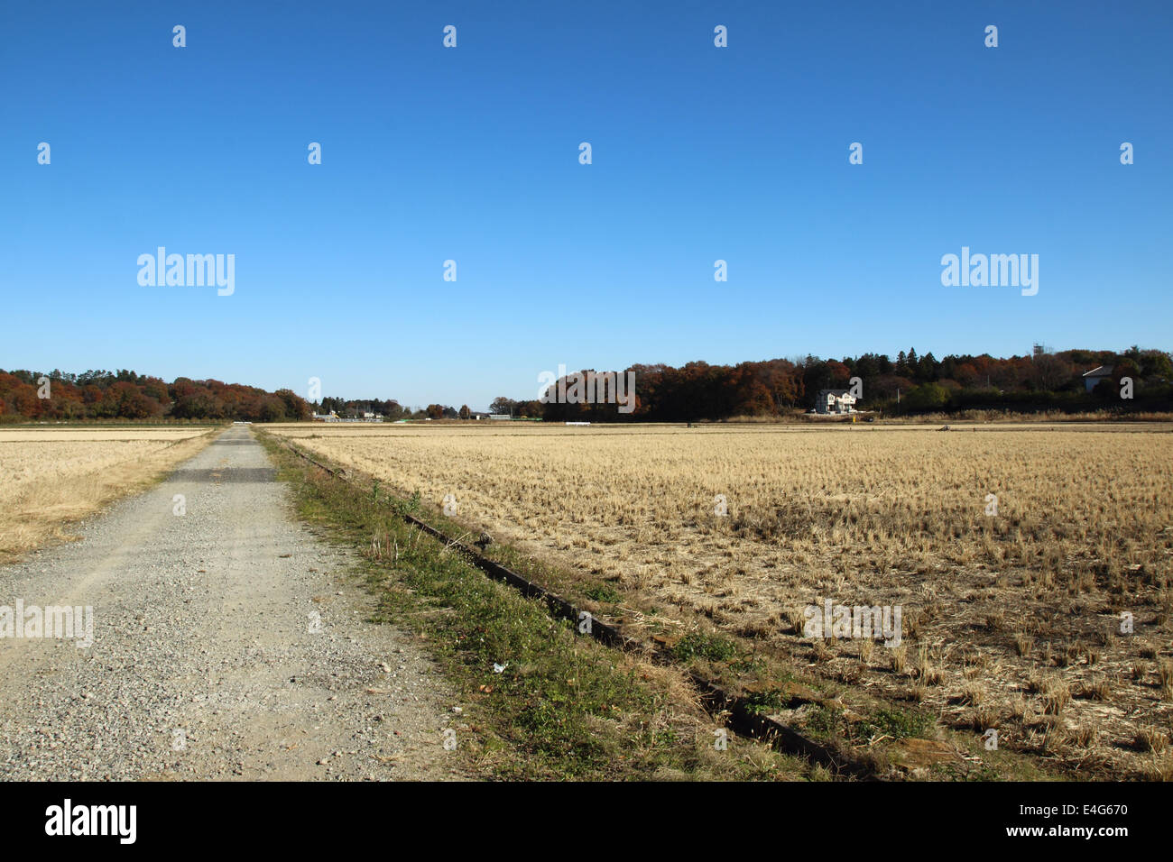 Beautiful field view hi-res stock photography and images - Alamy