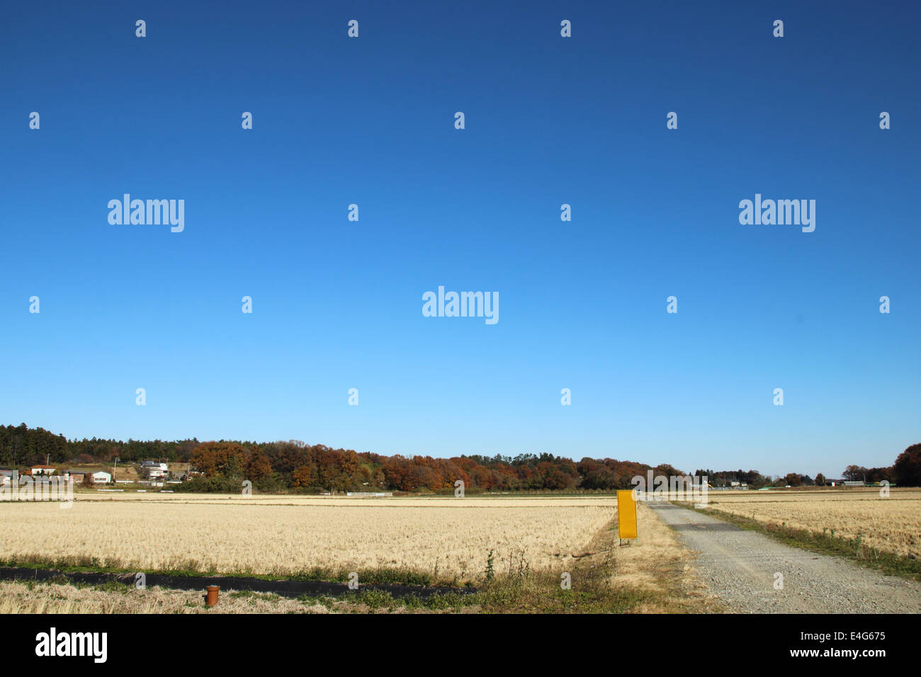 Beautiful field view hi-res stock photography and images - Alamy