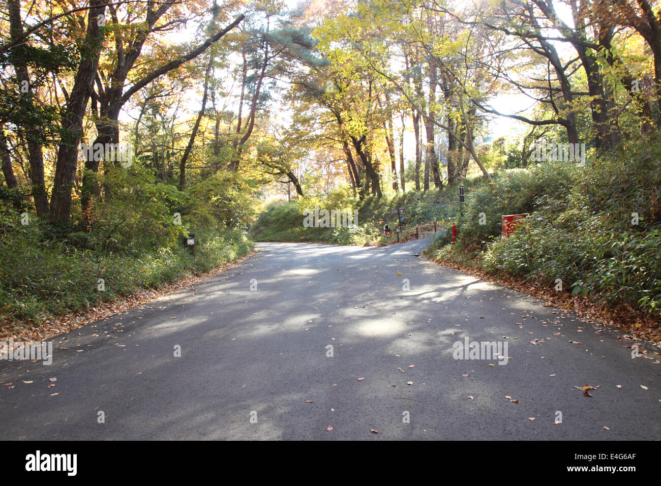 Japanese pathway hi-res stock photography and images - Alamy