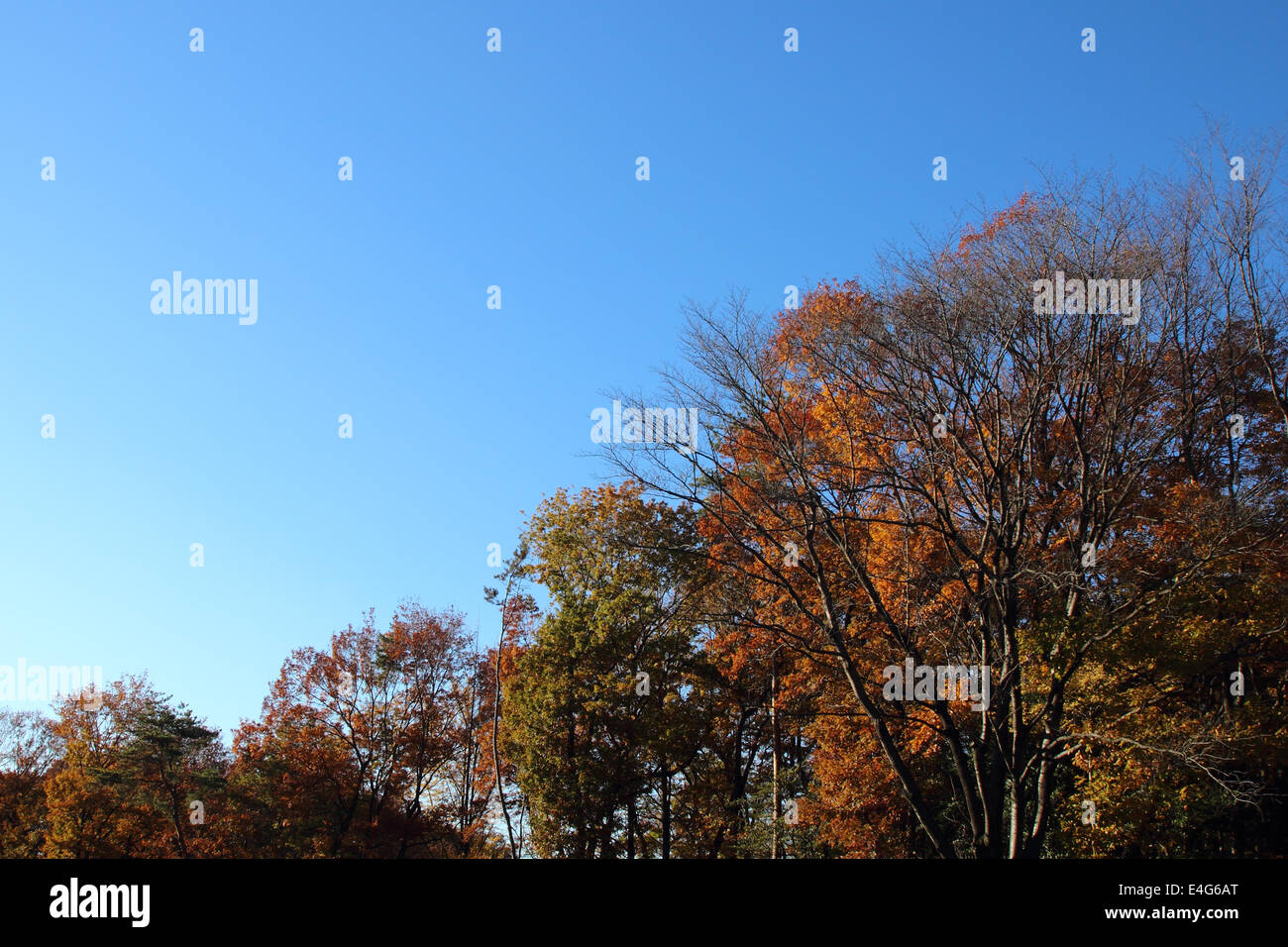Saitama hi-res stock photography and images - Alamy