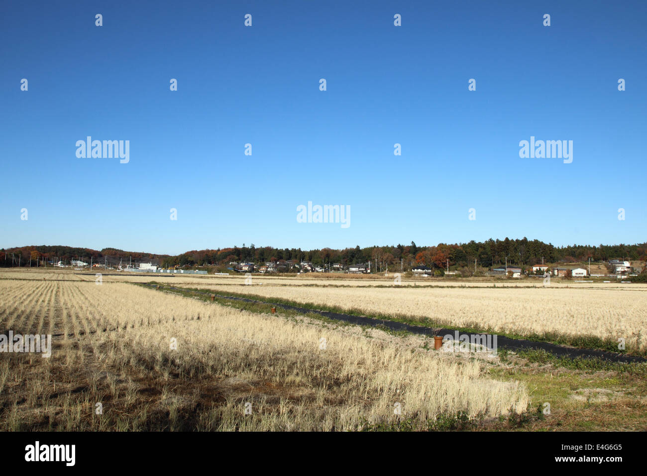 Beautiful field view hi-res stock photography and images - Alamy