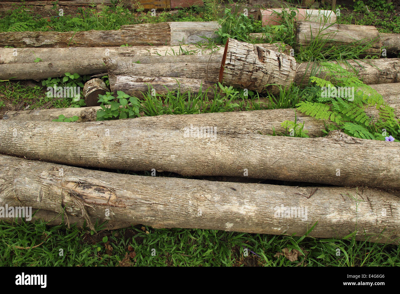 Fire wood staple hi-res stock photography and images - Alamy
