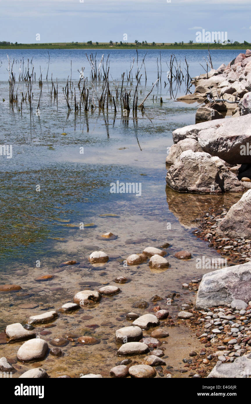 Shoreline of a small pond hi-res stock photography and images - Alamy