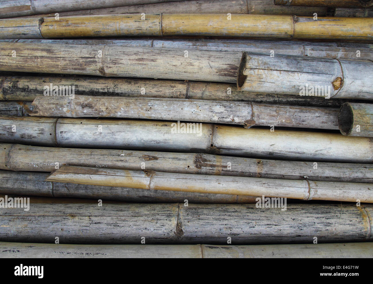 The old Bamboo Stock Photo - Alamy