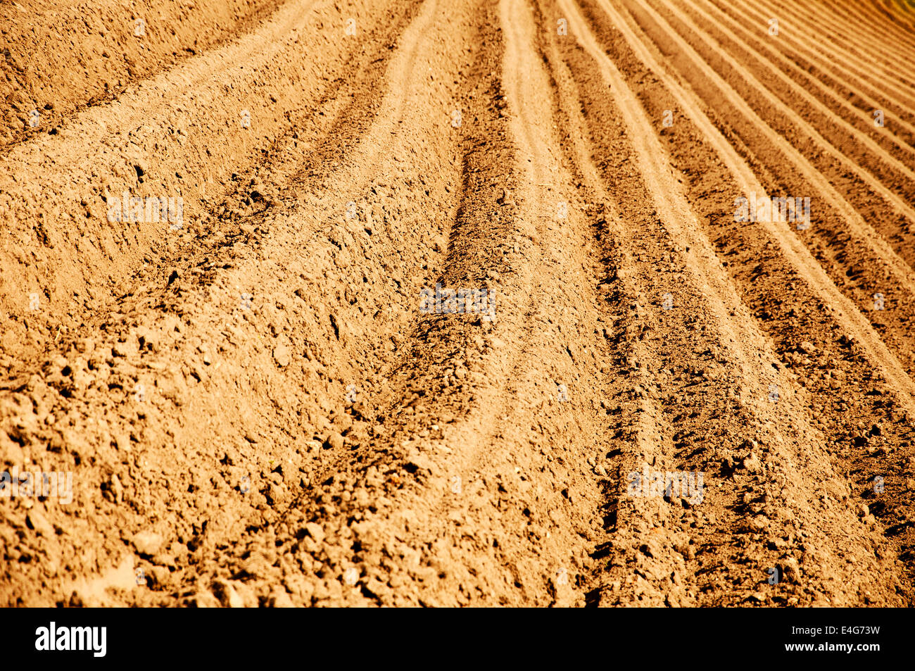 Cultivated line track plowed ploughed hi-res stock photography and ...