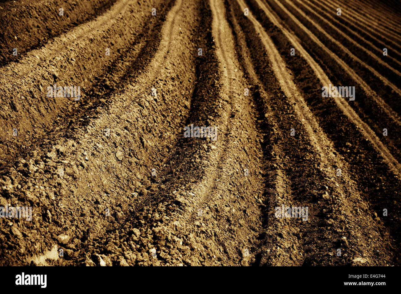 Texture of a newly plowed acre Stock Photo - Alamy