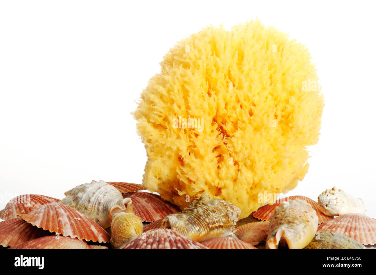 Sponge paint texture hi-res stock photography and images - Alamy