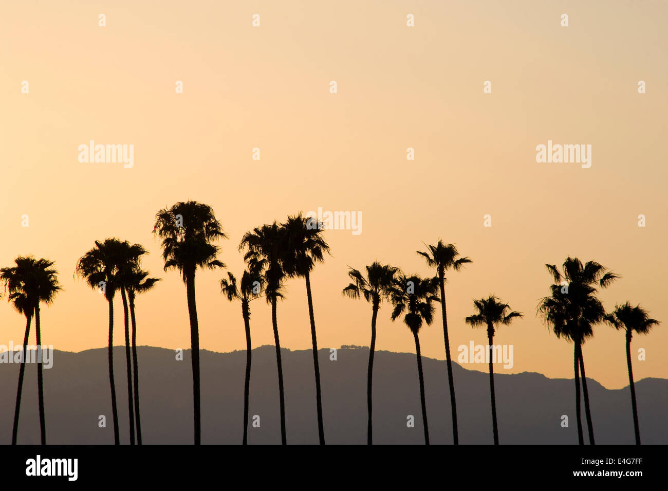 Palm trees and mountains hi-res stock photography and images - Alamy