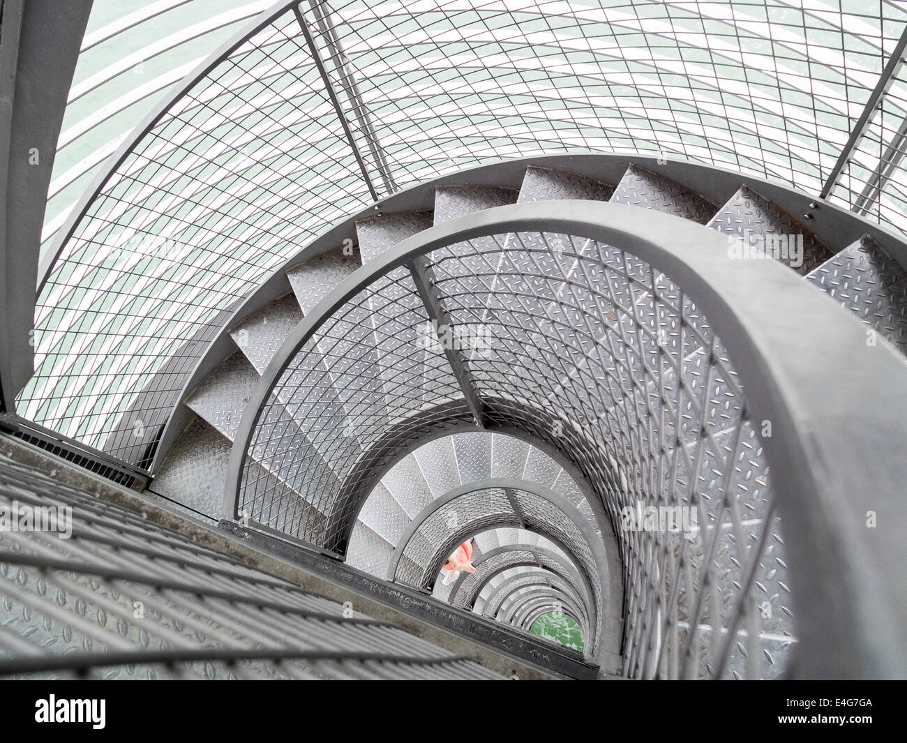 Wentletrap hi-res stock photography and images - Alamy