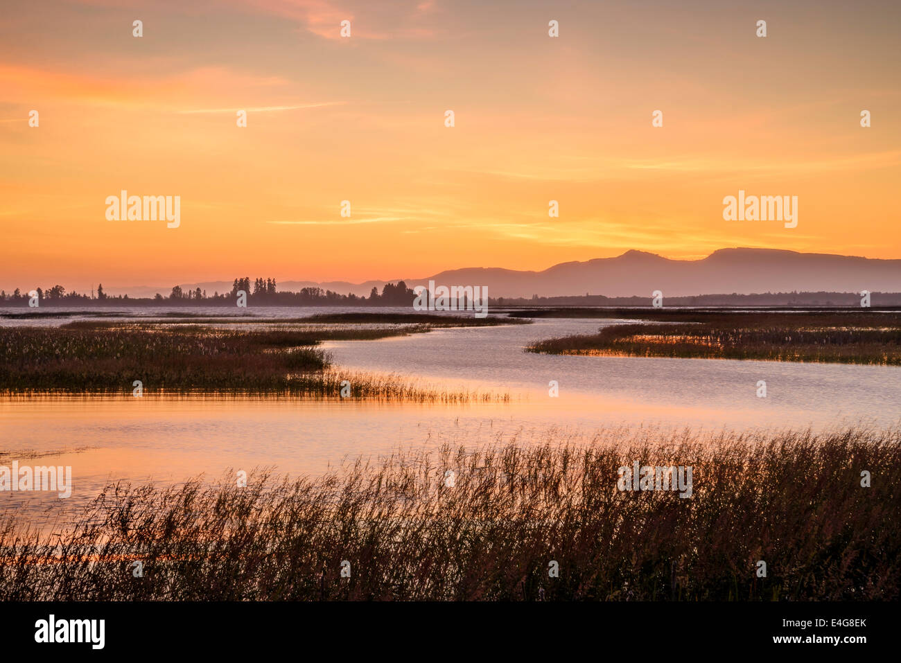 14060001 hi-res stock photography and images - Alamy