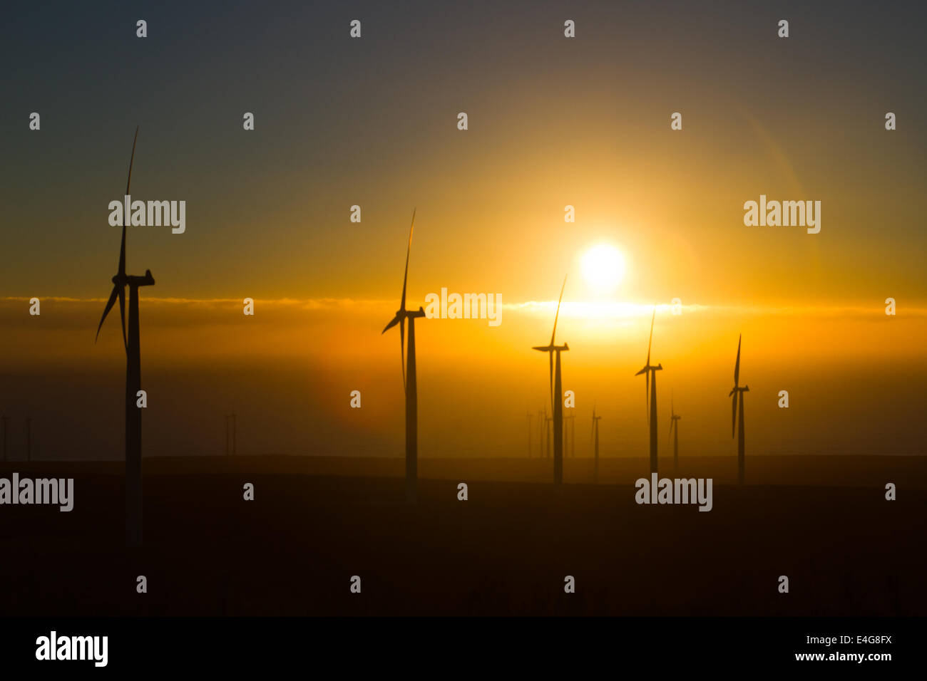 Windmills in sunset light on the pacific ocean coast, chile Stock Photo ...