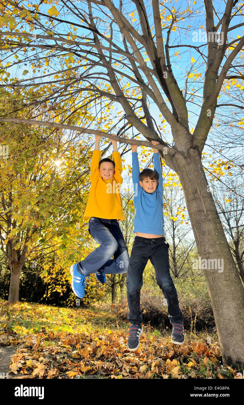 two boys climbing on the branches of the tree Stock Photo - Alamy