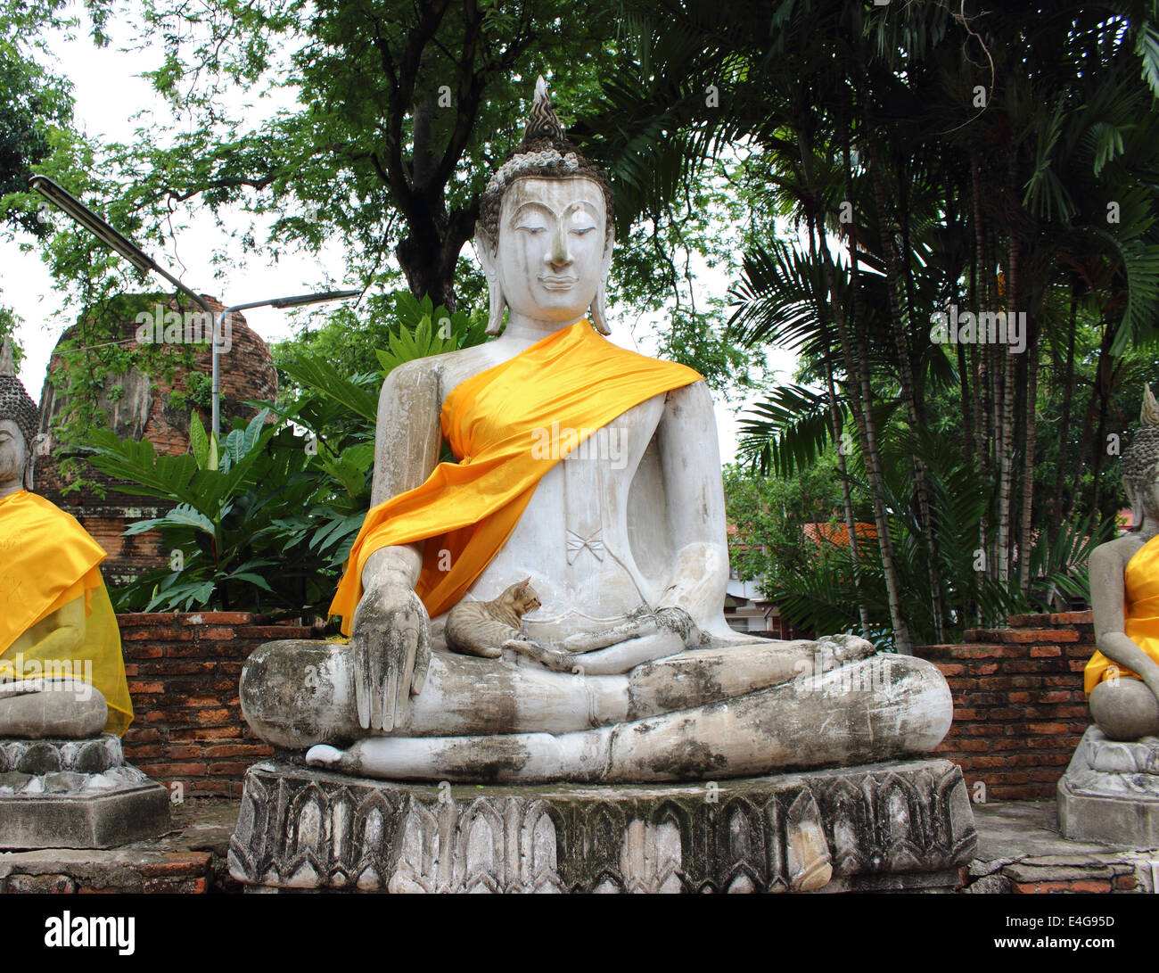 Ancient Buddha statues Stock Photo - Alamy