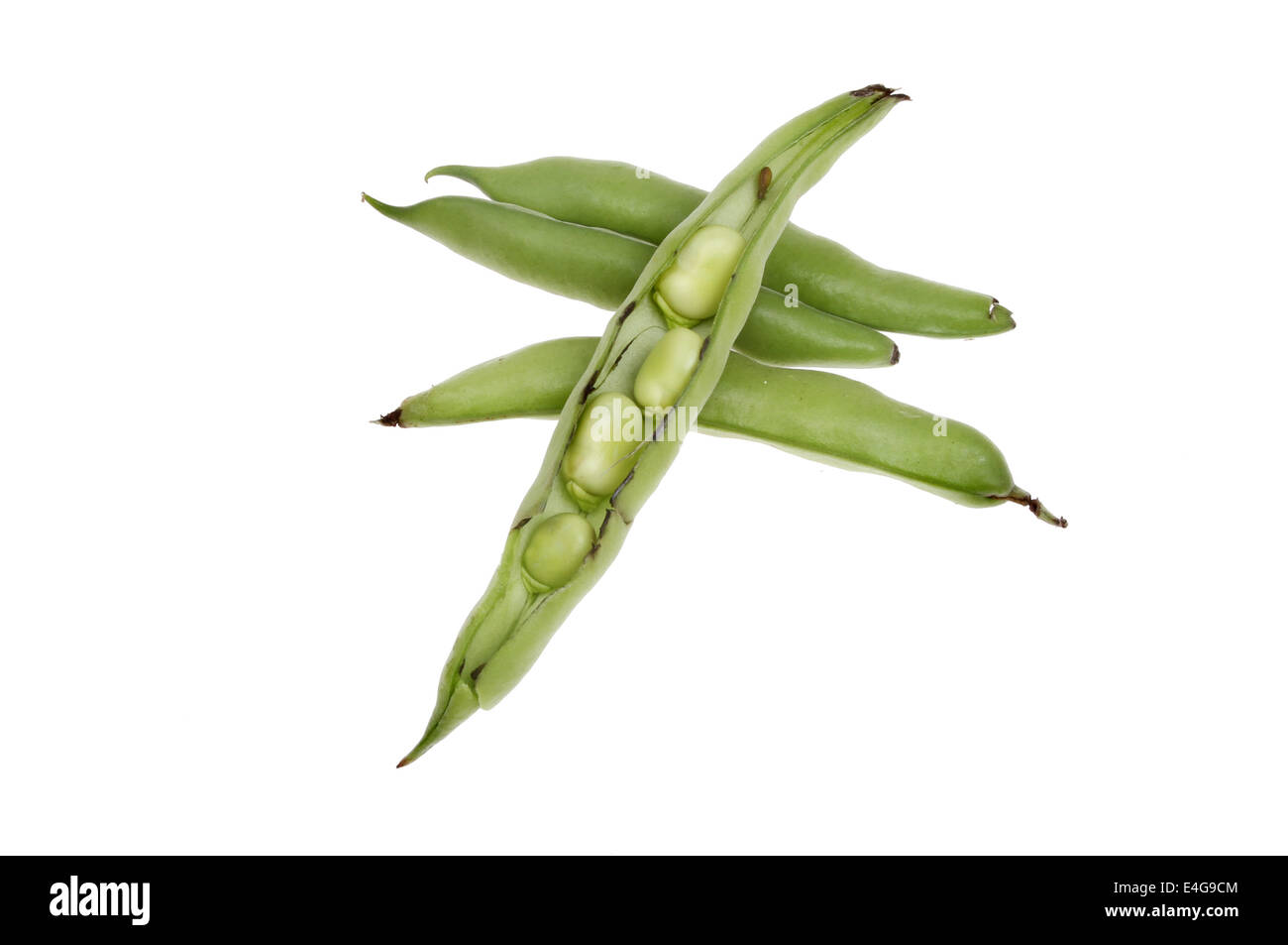 Broad bean pod hi-res stock photography and images - Alamy