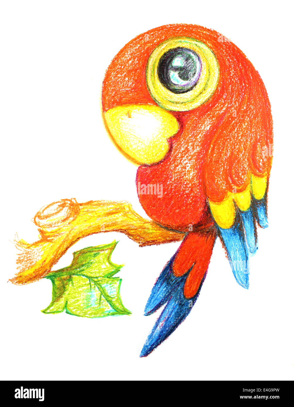 Colorful Parrot Painting