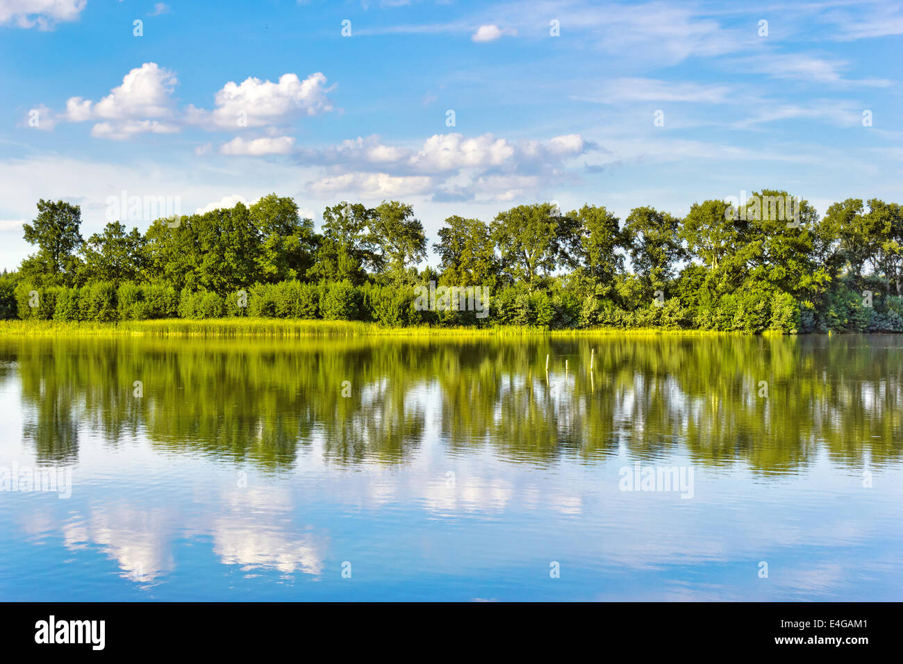 summer water landscape Stock Photo - Alamy