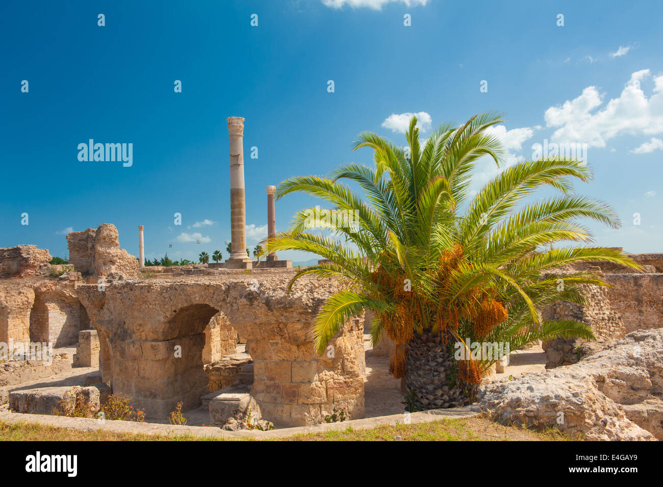 Carthage ruins of Antonine Baths at Tunisia Stock Photo - Alamy
