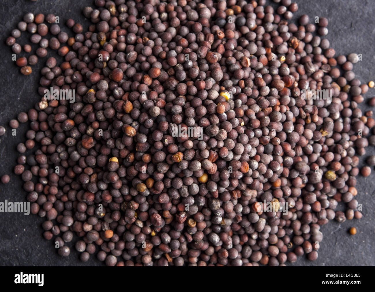 Dark (black) mustard seeds - close up view, can be used as a background ...