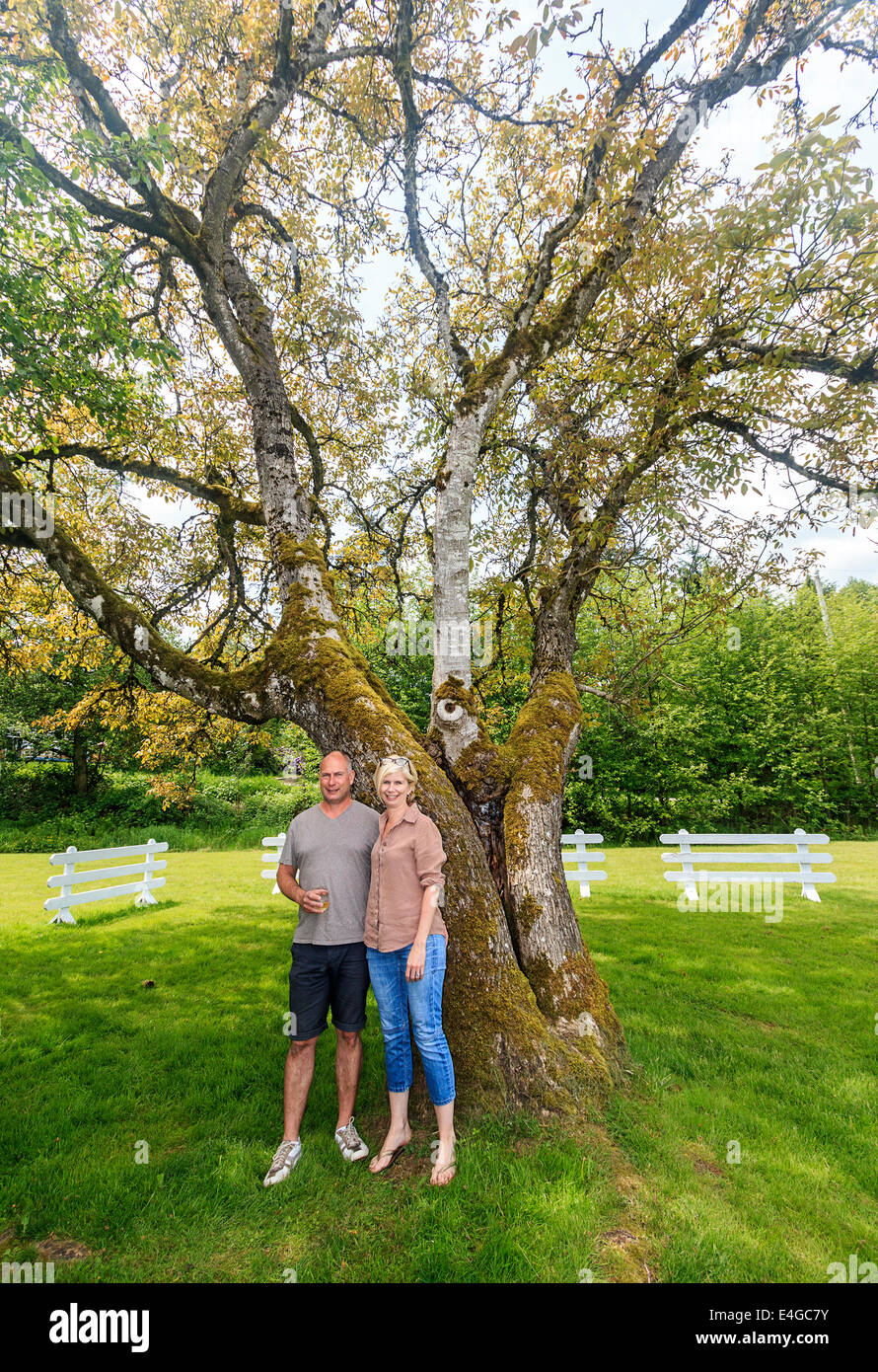 Tourism old family tree hi-res stock photography and images - Alamy