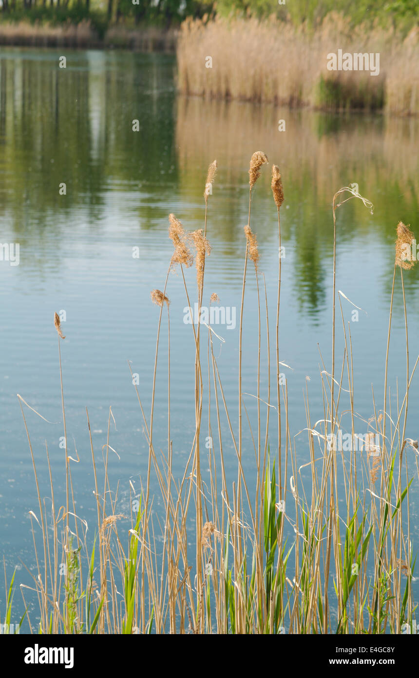 Hot spring day hi-res stock photography and images - Alamy