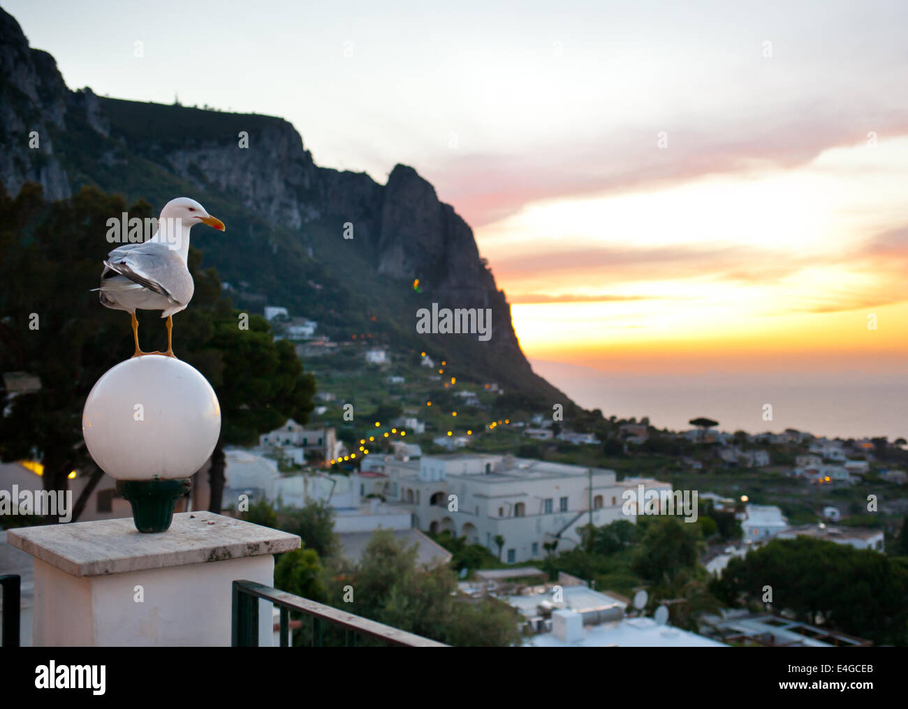 Sunset on Capri Island with typical village Stock Photo - Alamy