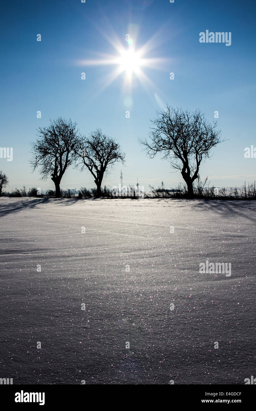 Deep winter landscape with trees and sun Stock Photo - Alamy