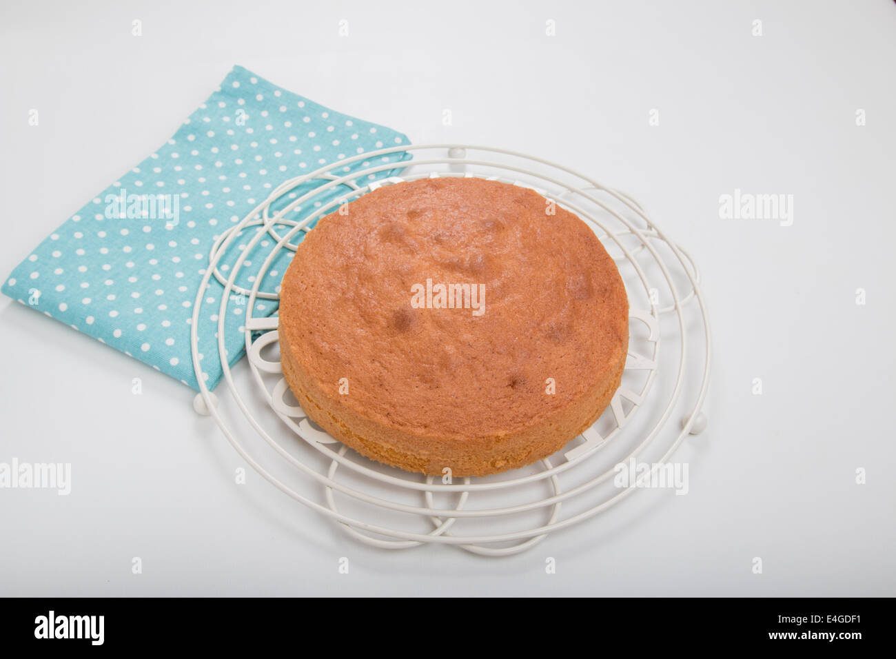 Victoria sponge cake set on a round cooling rack on a light background ...