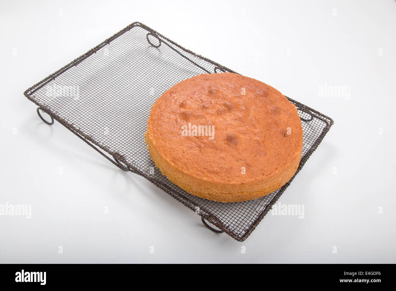 Plain victoria sponge cake hi-res stock photography and images - Alamy