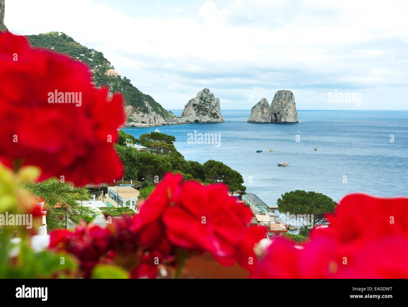 Red geraniums with Faraglioni in background, famous giant rocks, Capri ...